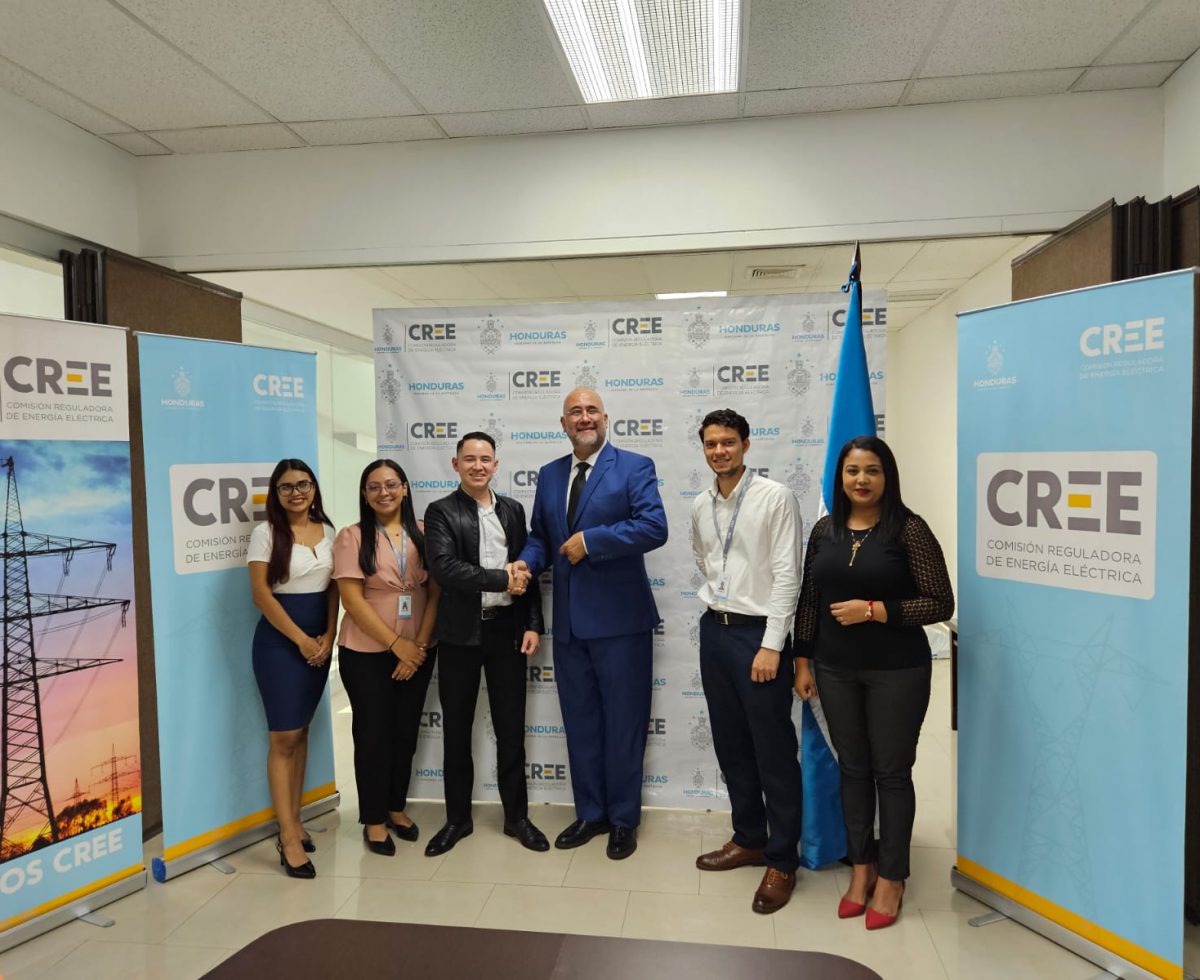 Comité de Probidad y Ética CREE | CREE